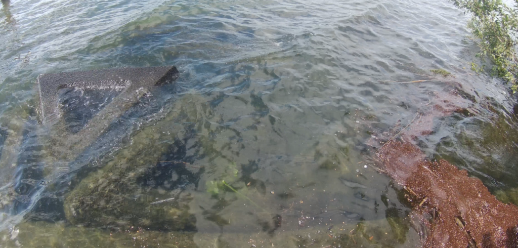 明らかにコスパ抜群！釣りに使える偏光サングラスがコレ | なるフィッシュ