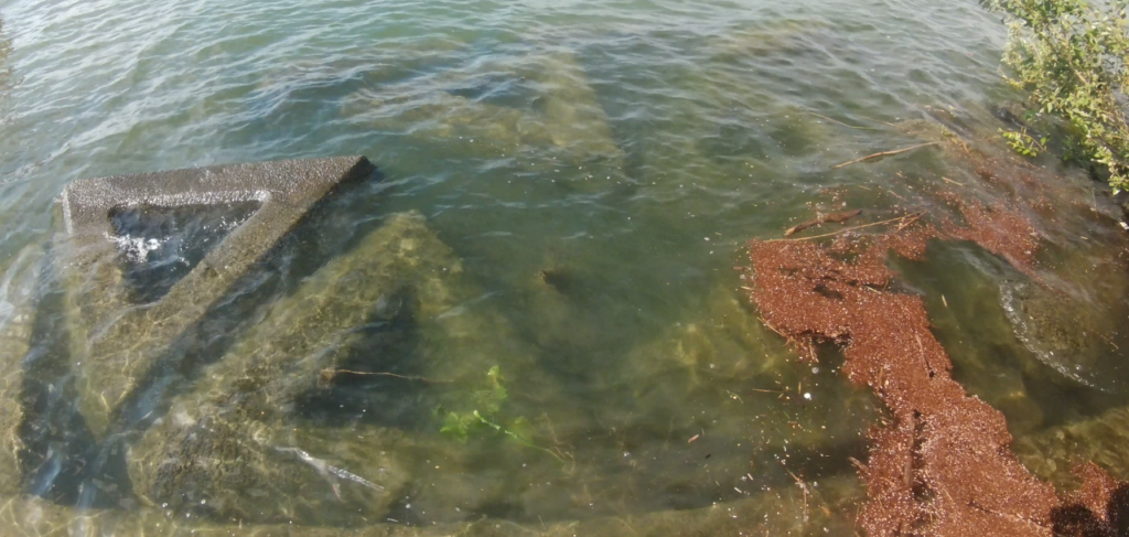 明らかにコスパ抜群！釣りに使える偏光サングラスがコレ | なるフィッシュ