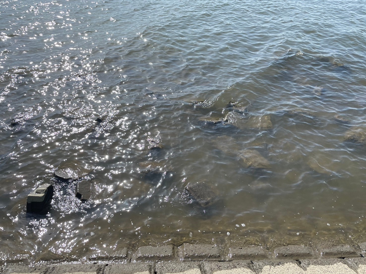 コスパ抜群の偏光サングラスなら！優秀過ぎるOSCEEサングラスの最新版 | なるフィッシュ