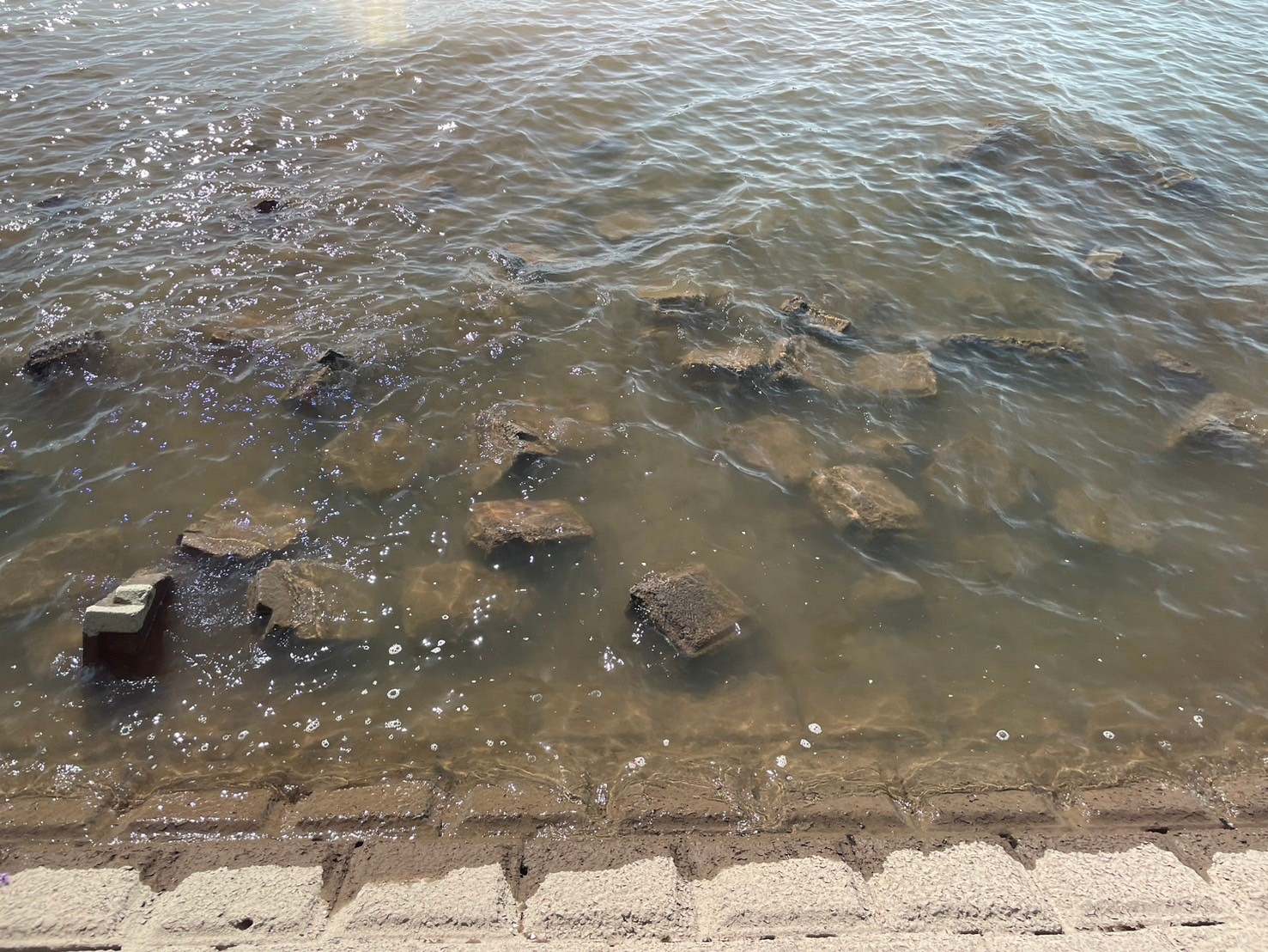 コスパ抜群の偏光サングラスなら！優秀過ぎるOSCEEサングラスの最新版 | なるフィッシュ